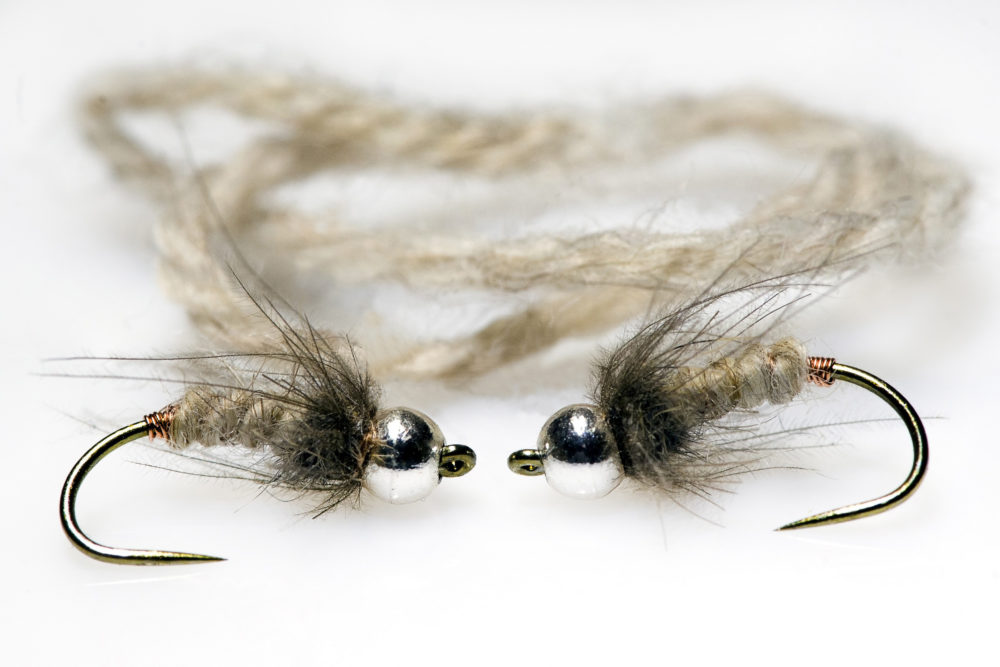23 – Killer bug CDC – Les Mouches de Gerard